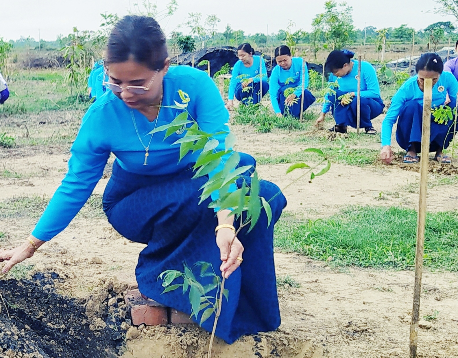 Paungde Township Conducts Pre-Monsoon Tree Planting Activities for 2025 ...