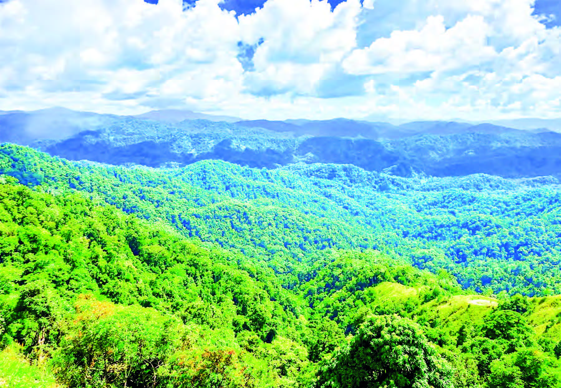 Taninthayi Nature Reserve: A Haven for Asian Elephants | Myanmar ...