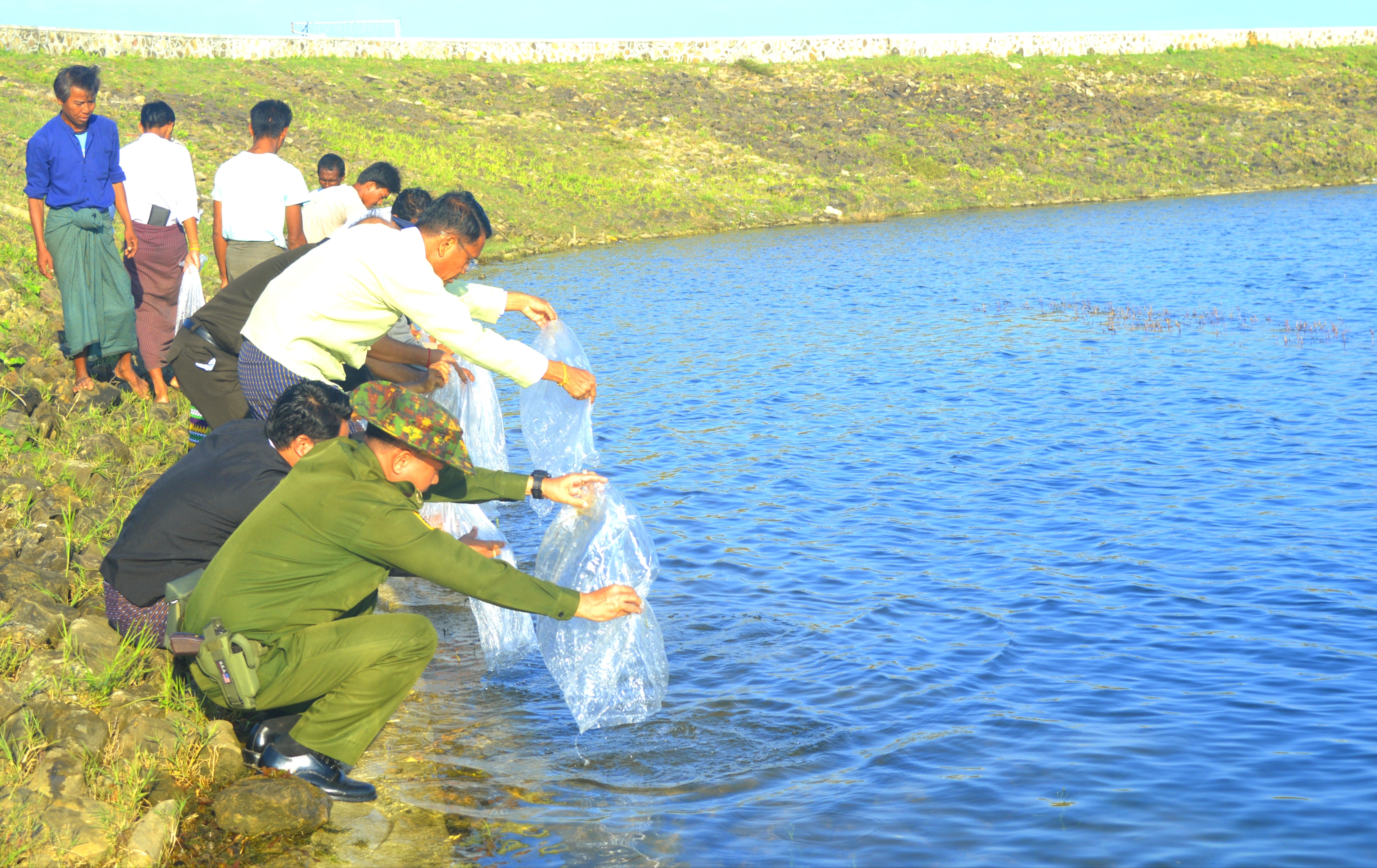 Fish stocking ceremony held in Myothit Townhsip | Myanmar Digital News
