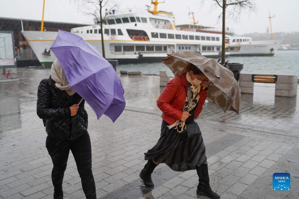 4 killed, 19 wounded in strong storm in Turkey's Istanbul: governor's ...
