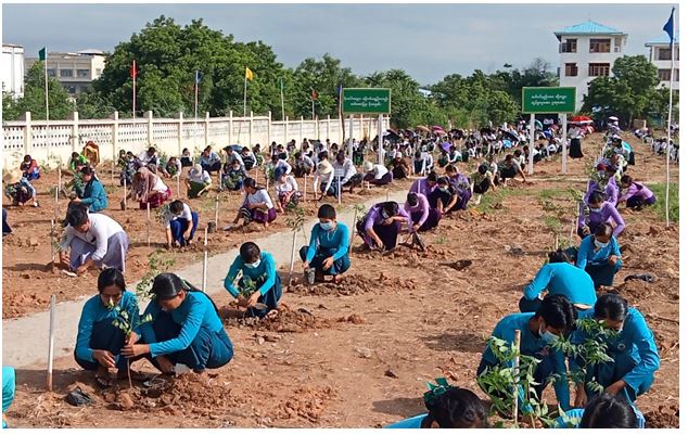 Tree-planting event to mark Myanmar Women’s Affairs Federation Day held ...