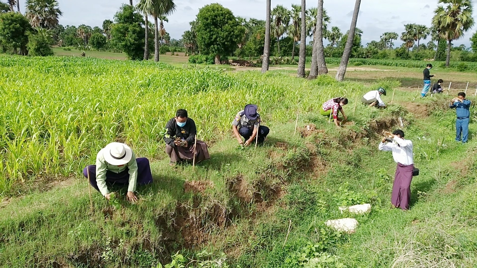 Monsoon tree planting ceremony held in Budalin | Myanmar Digital News