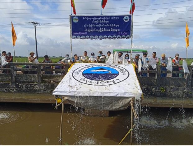 500000 fingerlings released into Ma-u Creek in Dagon Myothit (East ...