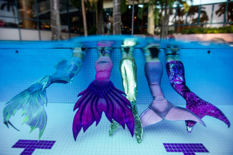 Making a splash at Malaysia's mermaid school | Myanmar Digital News