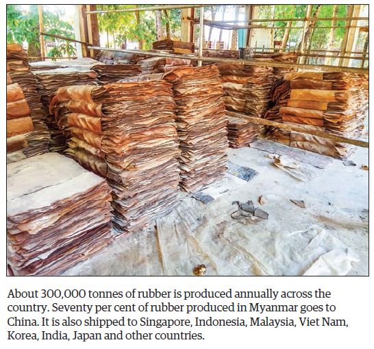 Rubber price unlikely to fall on rising demand, Kyat depreciation ...