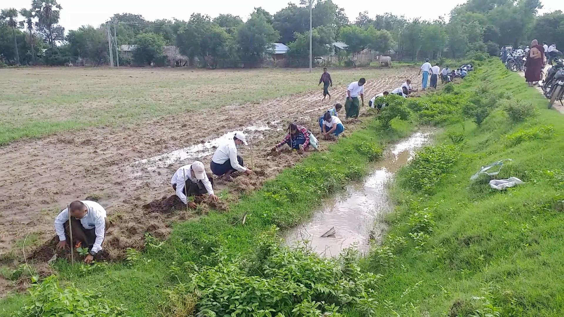 Monsoon tree planting ceremony held in Budalin | Myanmar Digital News