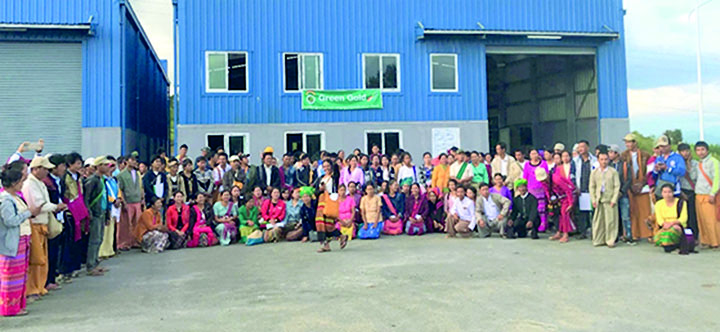 Coffee Growers in Myanmar Receive a Fair Deal | Myanmar Digital News